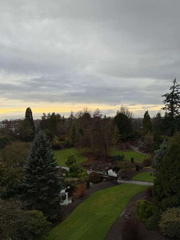 Vancouver Tour/Car/Grandville Island/Queen Elizabeth/China T - A Detailed Look at the Vancouver Private Car Tour