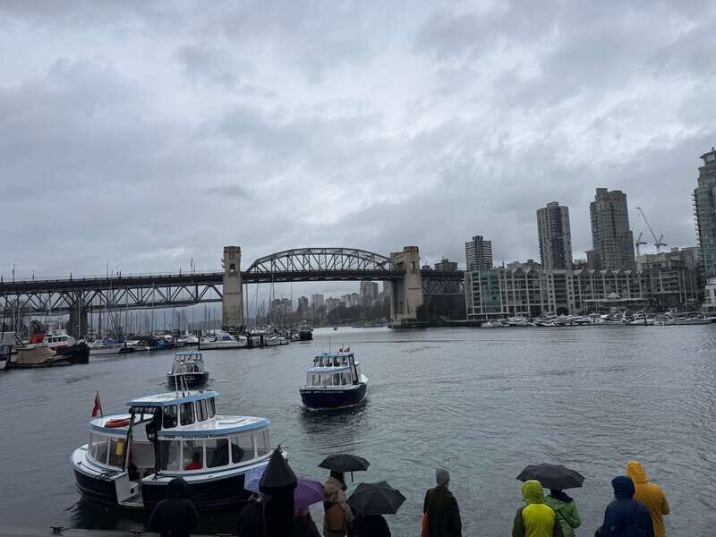 Vancouver Tour/Car/Grandville Island/Queen Elizabeth/China T - Why Choose This Tour?