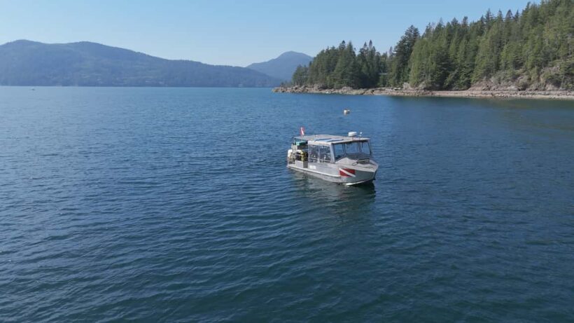 Vancouver UNESCO Biosphere Reserve Wildlife Scenic Boat Tour - An In-Depth Look at What to Expect