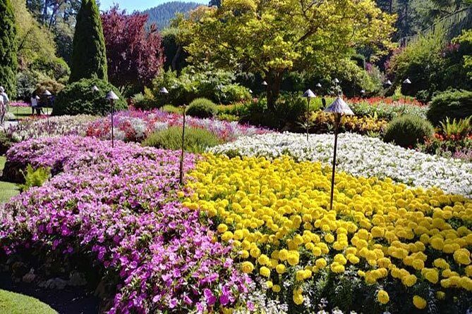 Vancouver, Victoria & Whistler 3 days in one Combo Tour. - What Makes This Tour Stand Out