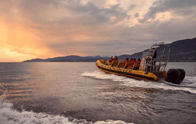 Vancouver: Waterfront Sightseeing Tour - City and Harbour - What the Reviews Tell Us