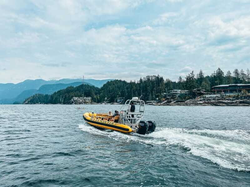 Vancouver: Waterfront Sightseeing Tour - City and Nature - Navigating Practicalities