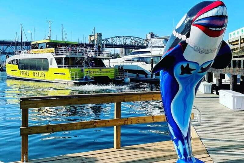Vancouver: Whale Watching Adventure with Private City Tour - An In-Depth Look at What This Tour Offers