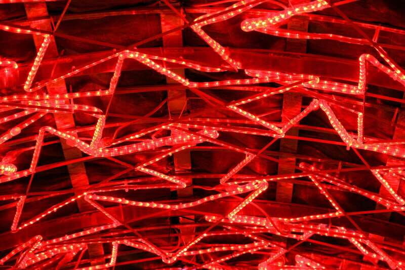 Vancouvers Festive Shoreline: A Christmas Walking Tour - An In-Depth Look at the Tour