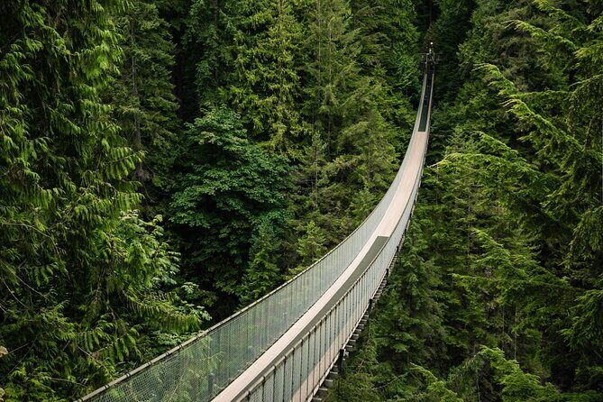 Vancouver's Finest Private Sightseeing Tour - What’s the Value for Travelers?