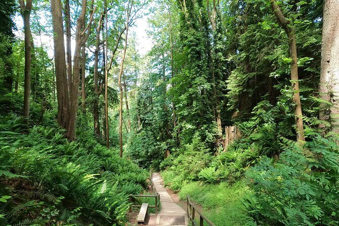 Vancouver's Natural Stair Master Workout, With Beach Walk - An In-Depth Look at Vancouver’s Natural Stair Master Workout