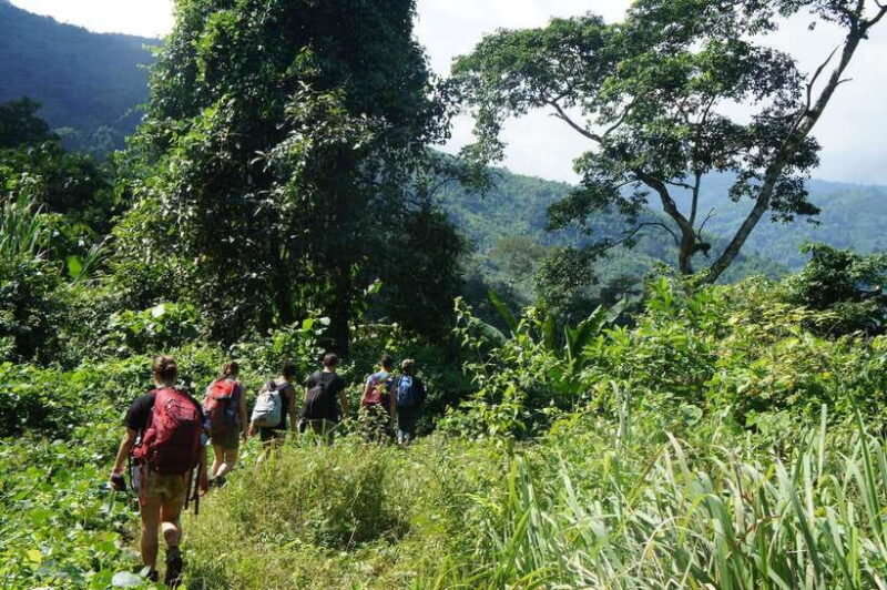 Vang Vieng: Jungle & Caves Full-Day Private Trekking Tour - What Makes It Special? The Stunning Views