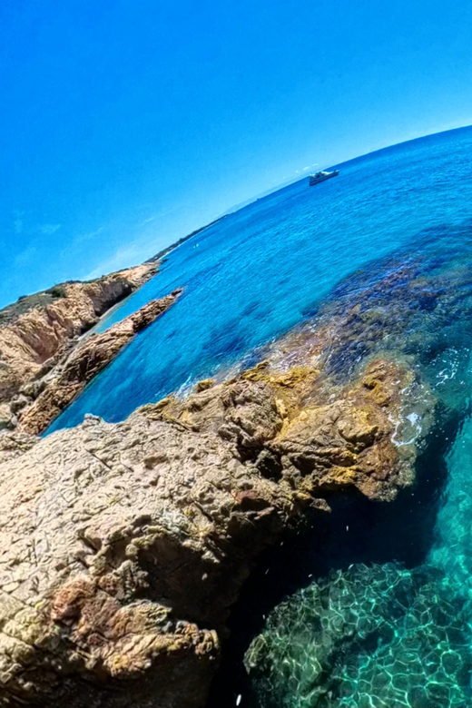 Vanilla- Wild Coasteering - Pricing and Booking