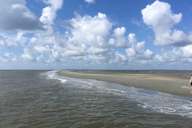 Vanishing Mile Isle Beachcomber Tour - Unique Features of the Experience