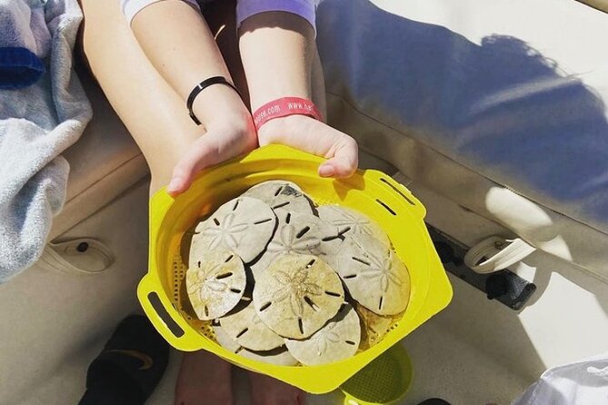 Vanishing Mile Isle Beachcomber Tour - Booking Information and Cancellation Policy