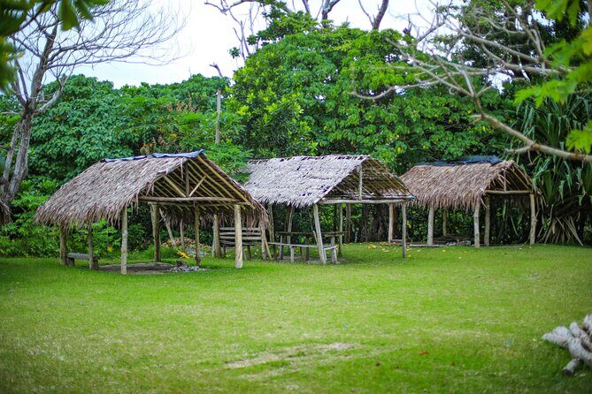 Vanuatu Cultural Village, Waterfalls, Turtles and Blue Lagoon - Final Thoughts: Is It Worth It?
