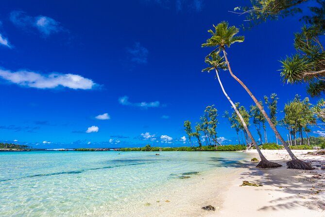 Vanuatu Highlights and Duty Free Shopping - What Makes This Tour Stand Out