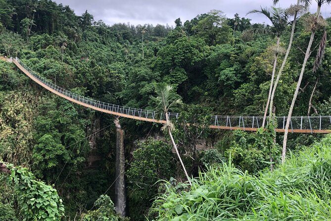 Vanuatu Skybridge - Practical Tips for Visitors