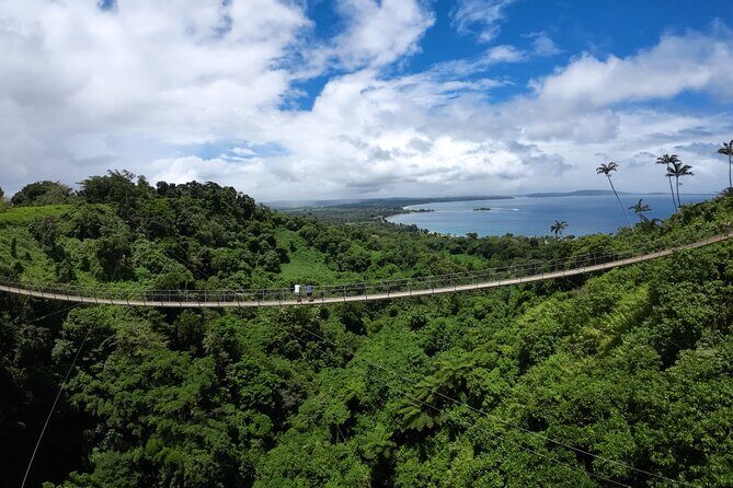 Vanuatu Skybridge - The Sum Up