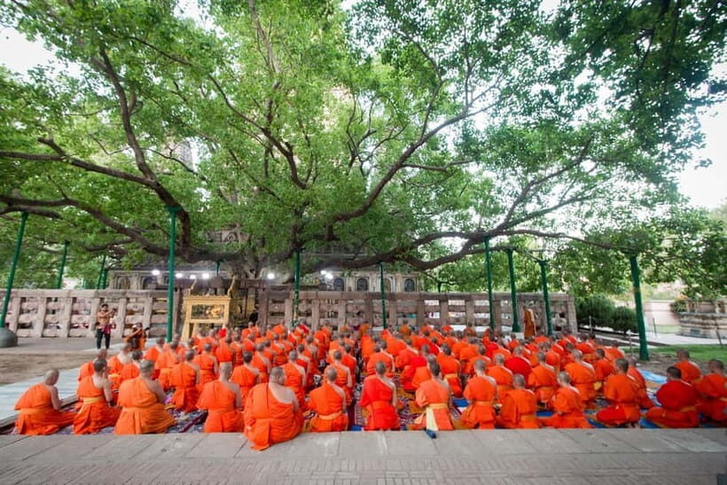 Varanasi: 6-Day Sacred Buddhist Spiritual Discovery Tour - Key Points