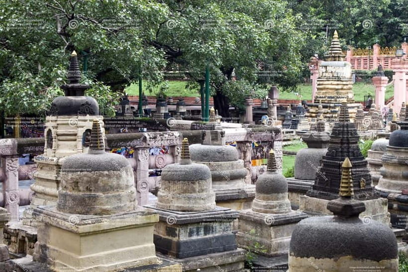 Varanasi: 6-Day Sacred Buddhist Spiritual Discovery Tour - FAQ