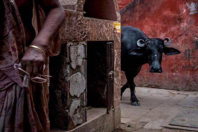 Varanasi Ghats & Villages - Detailed Review of the Varanasi Ghats & Villages Tour
