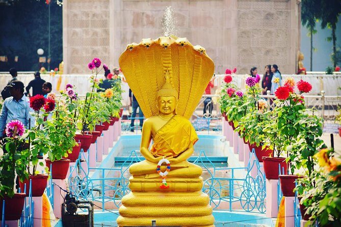 Varanasi: Sarnath Tour with Guide & Car Including Hotel Pick-up - An Honest Look at the Sarnath Tour Experience