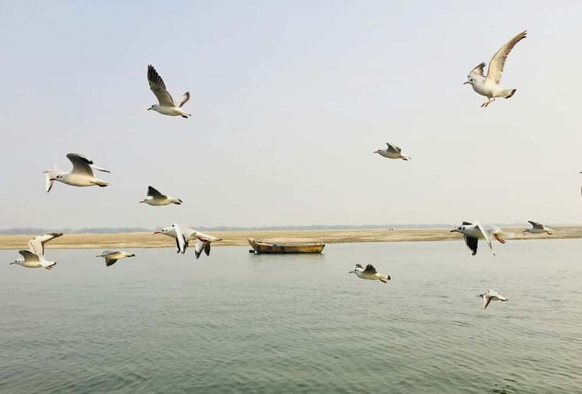 Varanasi: Sunrise walking tour with Chai & Arti Ceremony - Frequently Asked Questions