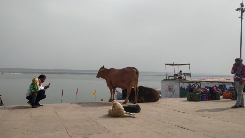 Varanasi Walking and Heritage Tour - Who Should Consider This Tour?