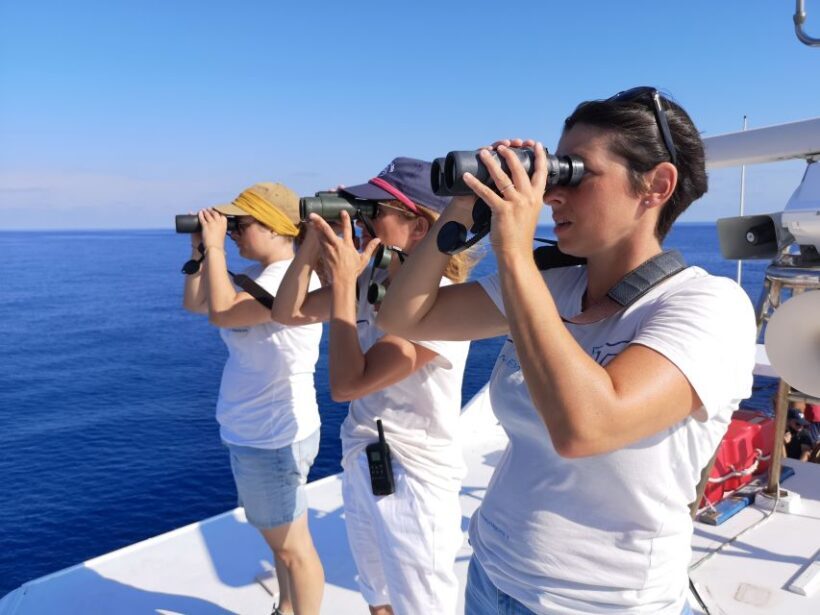 Varazze: Pelagos Sanctuary Guided Cetacean Watching Tour - An In-Depth Look at the Experience
