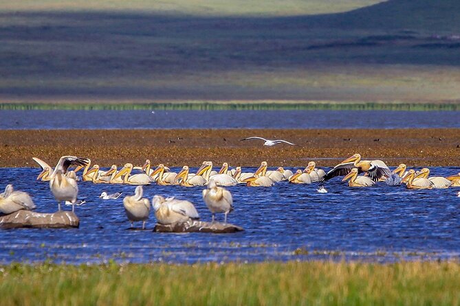 Vardzia. Lake Paravani, Khertvisi & Lomisa castle, Rabati - Weighing the Value and Practical Considerations