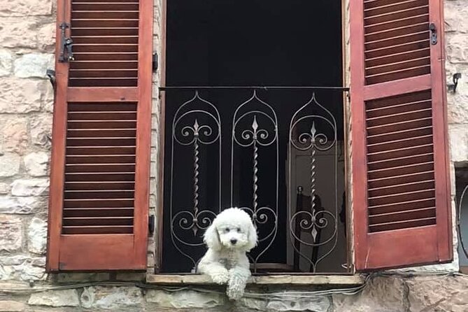 Vatican, Sistine Chapel Guided Tour & Access to St Peter Basilica - Meeting Point and Logistics