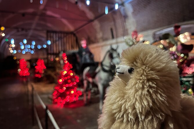 Vaux-le-Vicomte Castle Private Guided Half-Day Tour from Paris - Discovering Vaux-le-Vicomte: The Castle and Its Stories