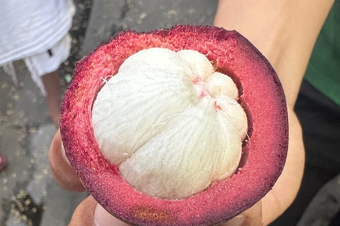 Vegan Food Tour - Untold Stories of Hoi An - So, How Do the Reviews Shape the Experience?