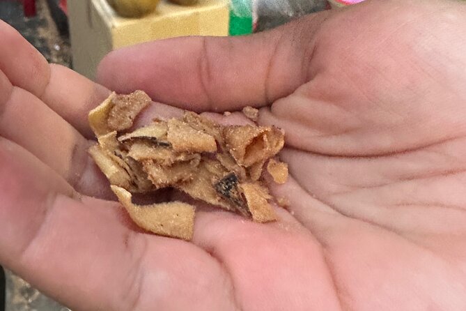 Vegan Food Tour - Untold Stories of Hoi An - Final Thoughts: Is This Tour Right for You?