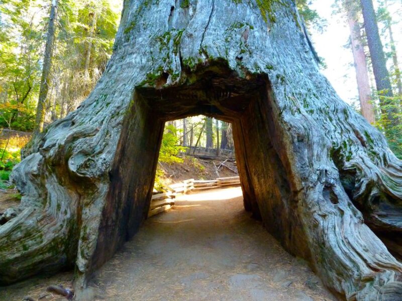 Vegas: Death Valley, Yosemite & San Francisco 4-Day Tour - Key Points