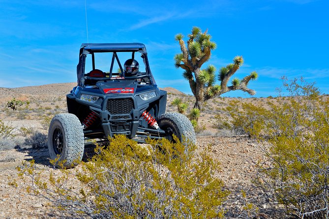 Vegas Desert RZR Adventure with Lunch at the Pioneer Saloon - Safety First