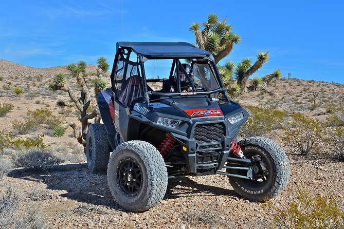 Vegas Desert RZR Adventure with Lunch at the Pioneer Saloon - Scenic Stops and Cultural Highlights