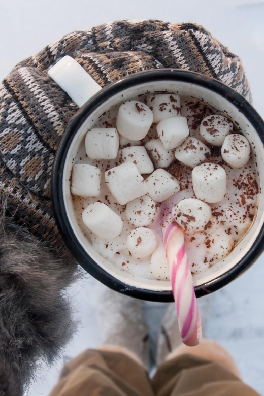 Vegas Winter Adventure: Mt. Charleston Snow Day - FAQ