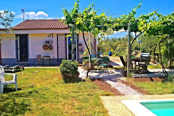 Vegetarian Cooking class in the Roman countryside - Final Thoughts