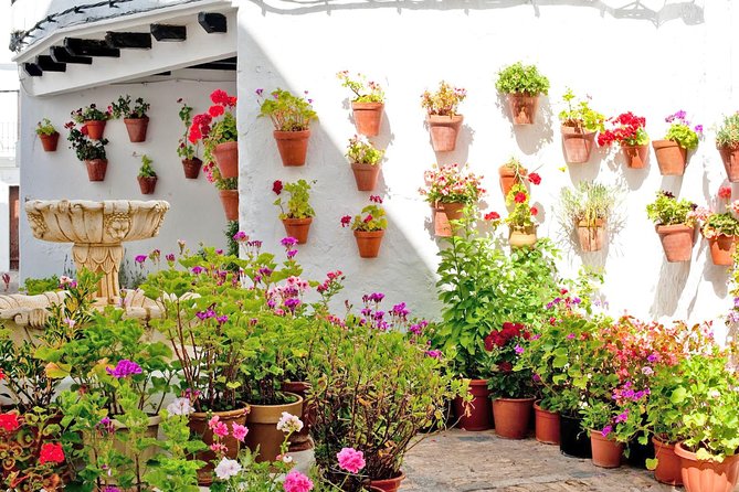 Vejer de la Frontera & Bolonia Beach Private Tour from Cadiz - Bolonia Beach: One of Spain’s Finest Shores