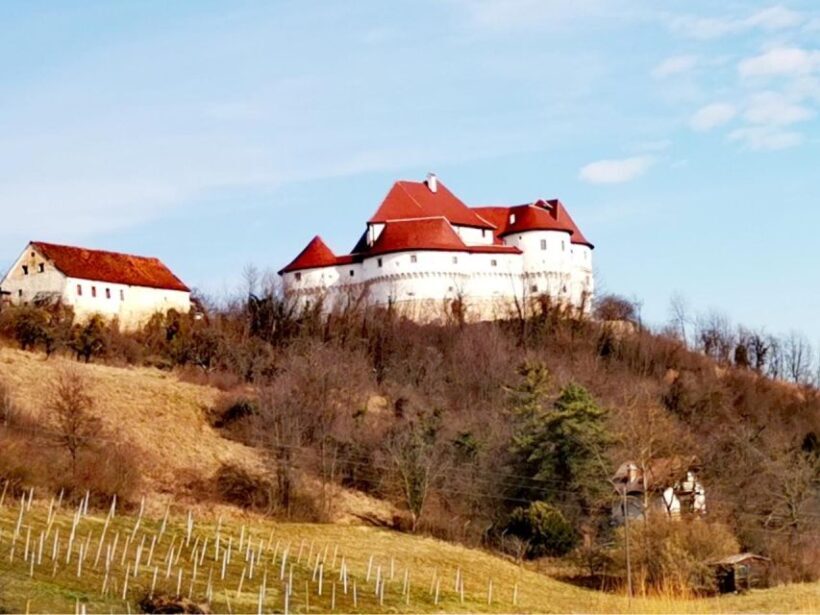 Veliki Tabor Castle, Kumrovec Museum with Wine Tasting - Authentic Experiences and Traveler Insights