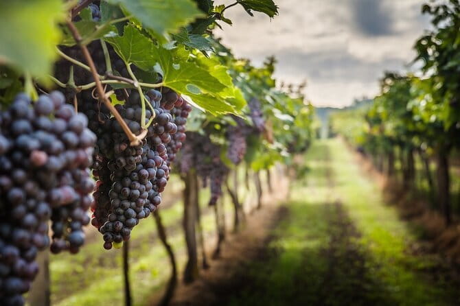 Venchi Duomo: Chocolate Tasting Experience in Florence - Final Words