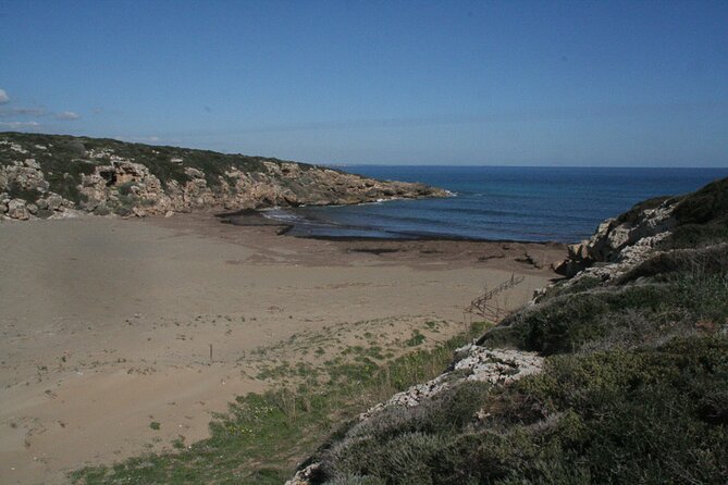 Vendicari private visit 3 hours The Bird Hotel. - Key Points