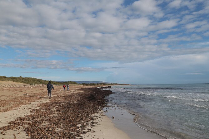 Vendicari private visit 3 hours The Bird Hotel. - FAQs