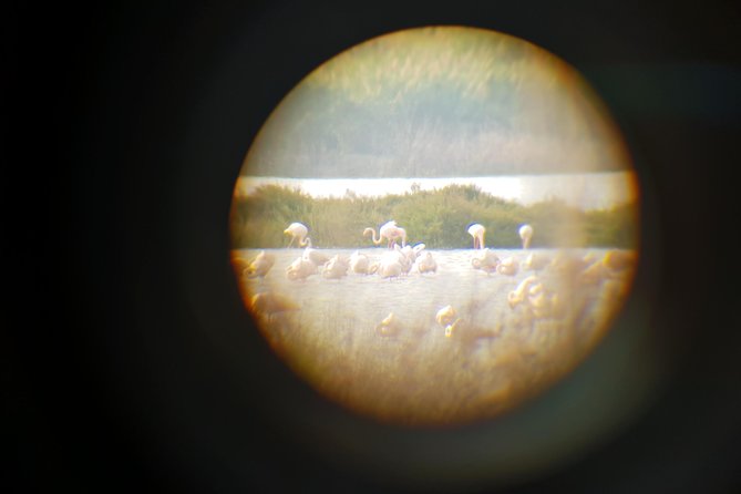 Vendicari - Sicily's best coast nature reserve ( Birdwatching & Archeology ) - The Charm of Vendicari: Nature and Archaeology Combined