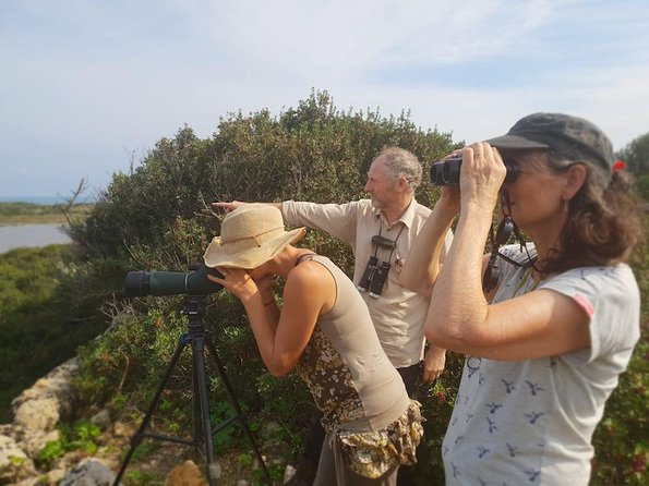 Vendicari - Sicily's best coast nature reserve ( Birdwatching & Archeology ) - The Experience: What Makes It Special