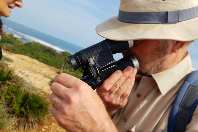 Vendicari - Sicily's best coast nature reserve ( Birdwatching & Archeology ) - Who Will Love This Tour?