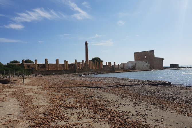 Vendicari - Sicily's best coast nature reserve ( Birdwatching & Archeology ) - The Sum Up