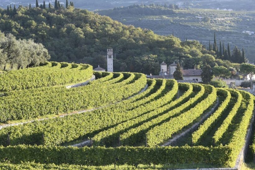 Veneto: Amarone Cooking and Tasting Experience in a Villa - Final Thoughts