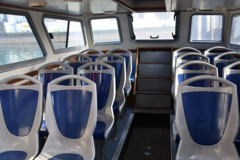 Venice: 1-Hour Panoramic Boat Tour - Who Will Enjoy This Tour?