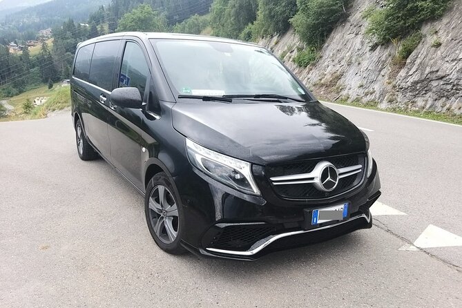 Venice Airport (VCE) to Venice, cruise port - Round-Trip Private Transfer - Who Is This Tour Best For?