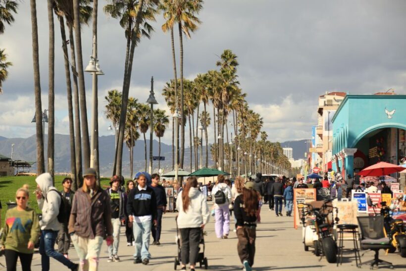 Venice California: Half Day Tour in Open Air Bus - Key Points