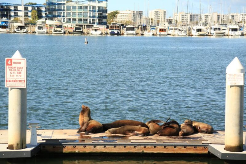 Venice California: Half Day Tour in Open Air Bus - Who Will Appreciate This Tour?