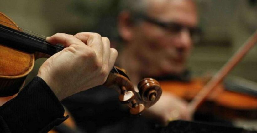 Venice: Dinner & Concert - Who Should Consider This Tour?